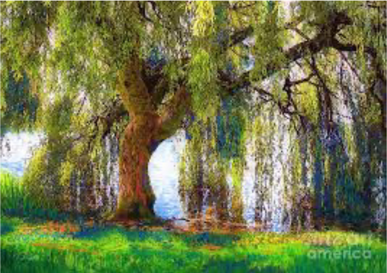 T. Tom - Pete Schipper